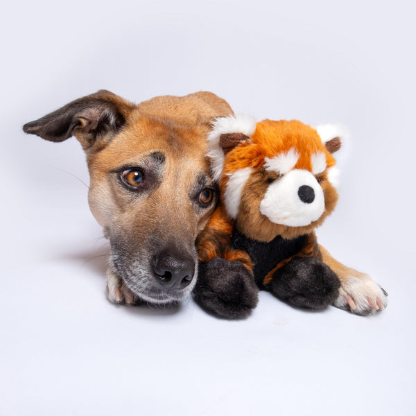 Fluff & Tuff Archie Red Panda Dog Toy - Fresh Fur Pets Online