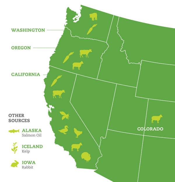 Small Batch Base Blend Chicken Frozen Dog & Cat Food - Fresh Fur Pets ...