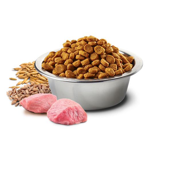 Farmina N&D Ancestral Grains Chicken & Pomegranate Maxi Giant Dog Food ...