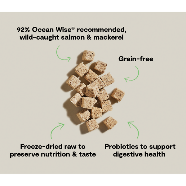 Open Farm Freeze-Dried Raw Kitty Cubes Salmon & Mackerel Cat Treats ...