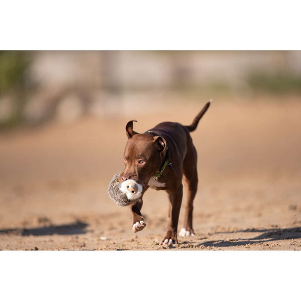 Fluff & Tuff Harriet Hedgehog Dog Toy - Fresh Fur Pets Online