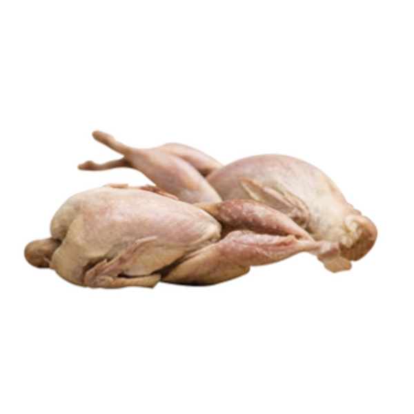 Rawr Frozen Raw Whole Quail for Dogs & Cats - Fresh Fur Pets Online