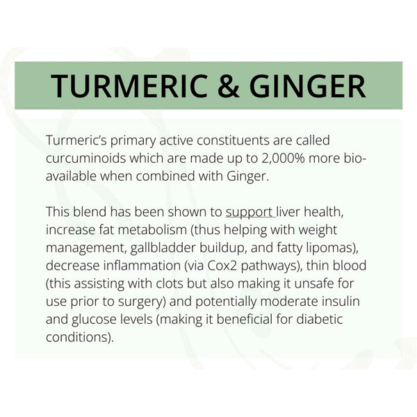 Solutions Pet Products Turmeric & Ginger Supplement for Dogs and Cats ...